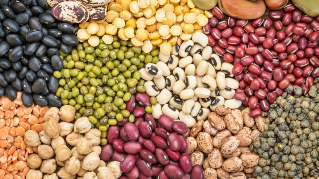 5 Best Beans and Legumes for Cognitive Functions - The Monk